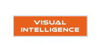 Contact Us – Visual Intelligence